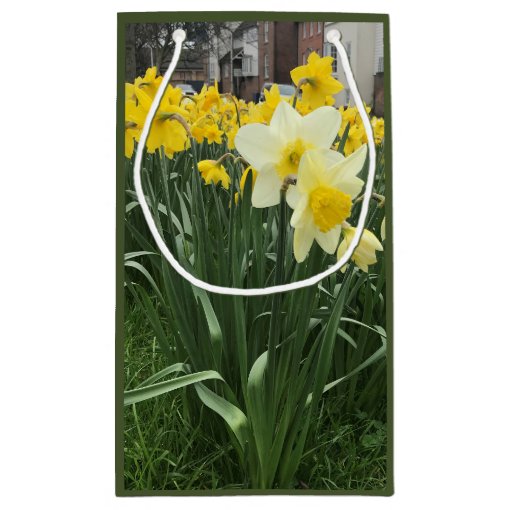 Spring Time Daffodil Small Gift Bag | Zazzle