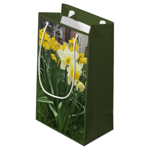 Spring Time Daffodil Small Gift Bag | Zazzle