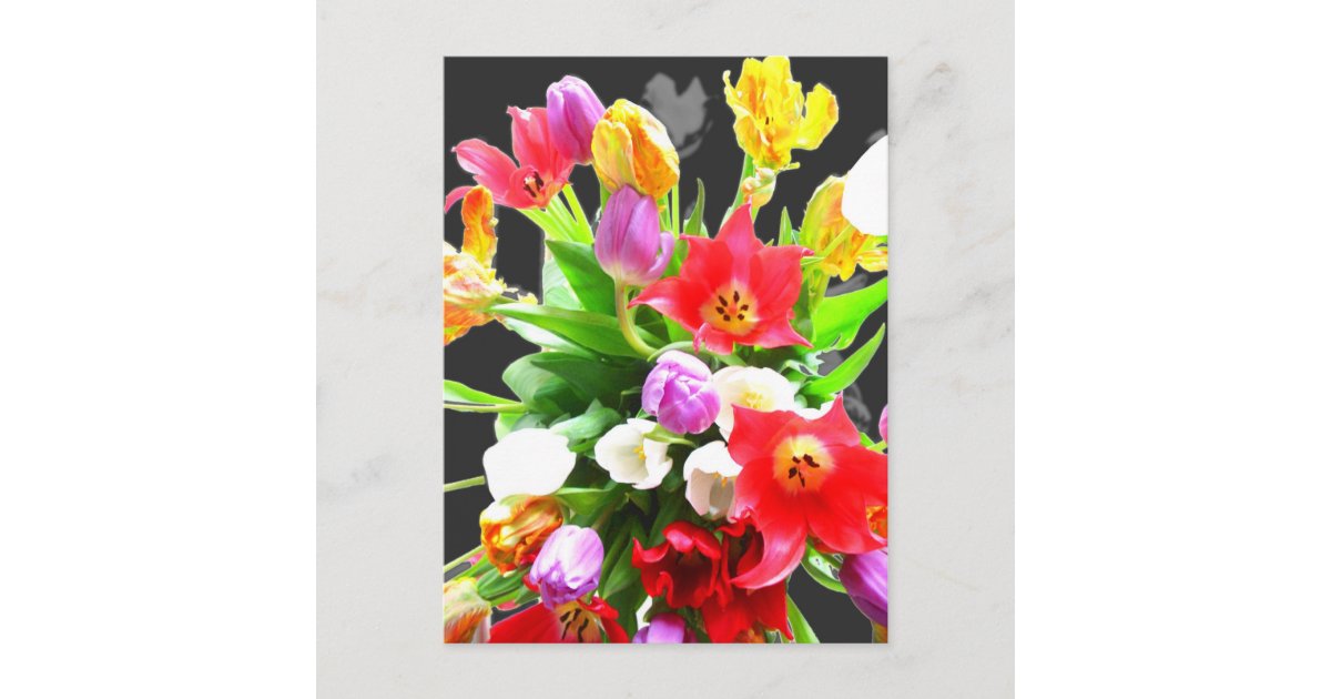 Spring Tulip Flowers Postcard | Zazzle
