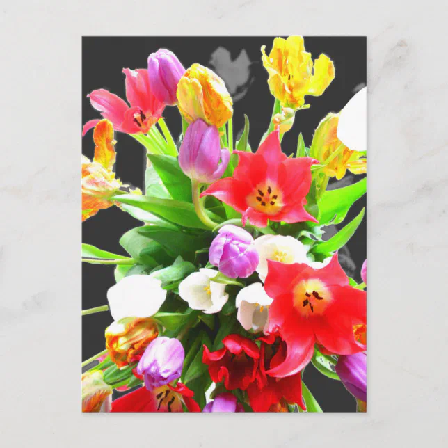 Spring Tulip Flowers Postcard | Zazzle