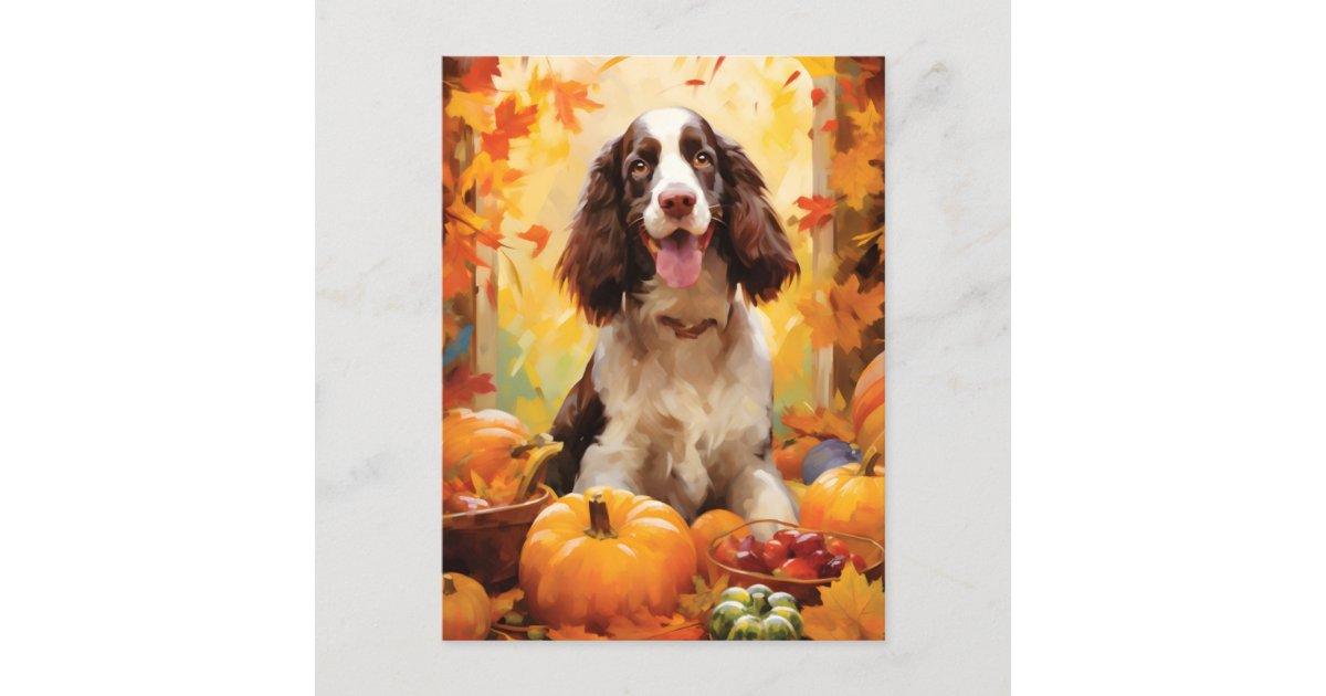 Springer Spaniel Autumn Thanksgiving Postcard | Zazzle