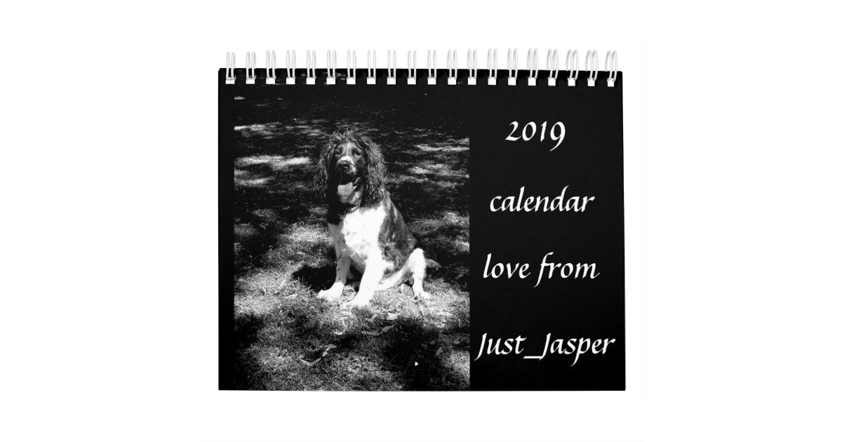 Springer spaniel calendar | Zazzle