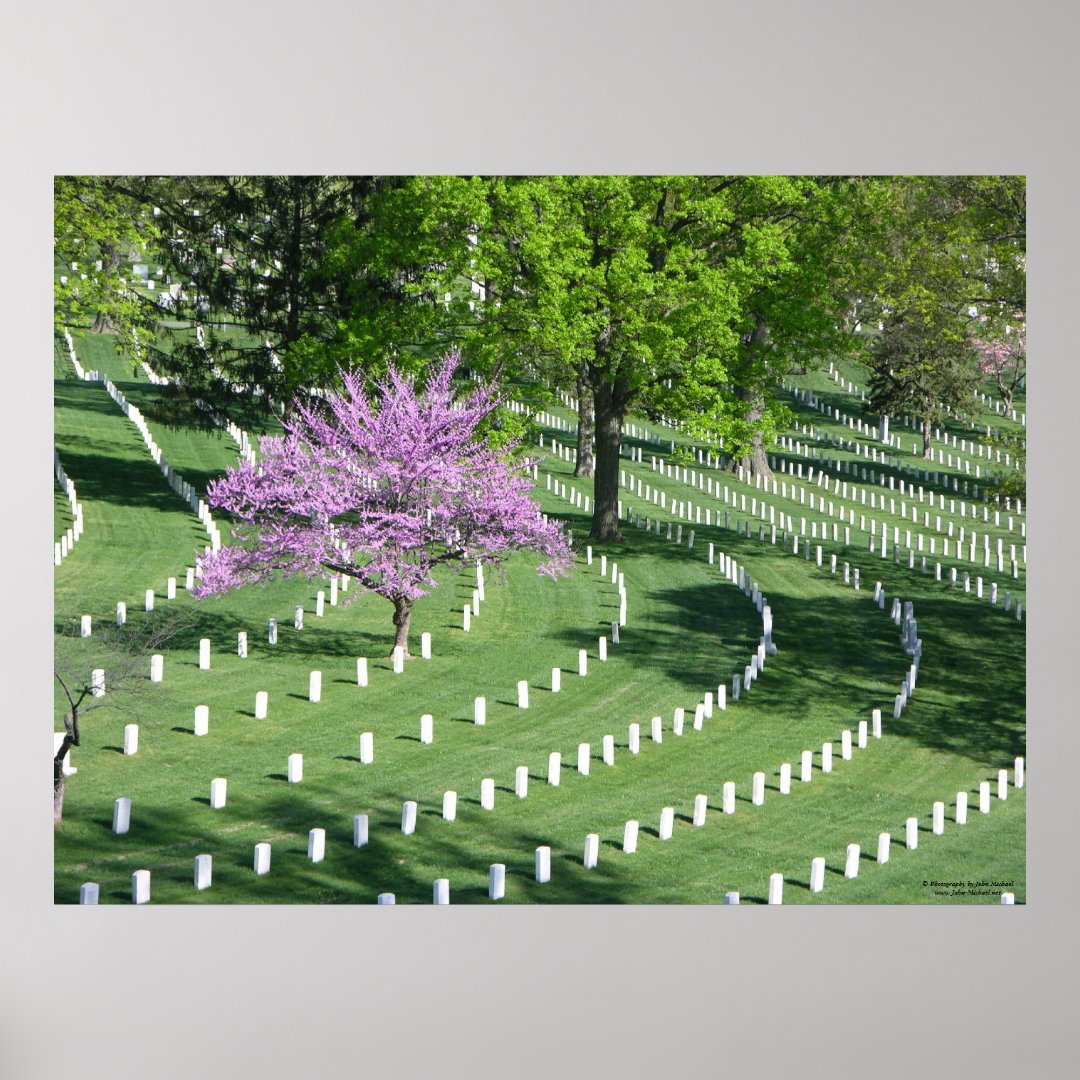Springtime in Arlington National Cemetery Poster | Zazzle