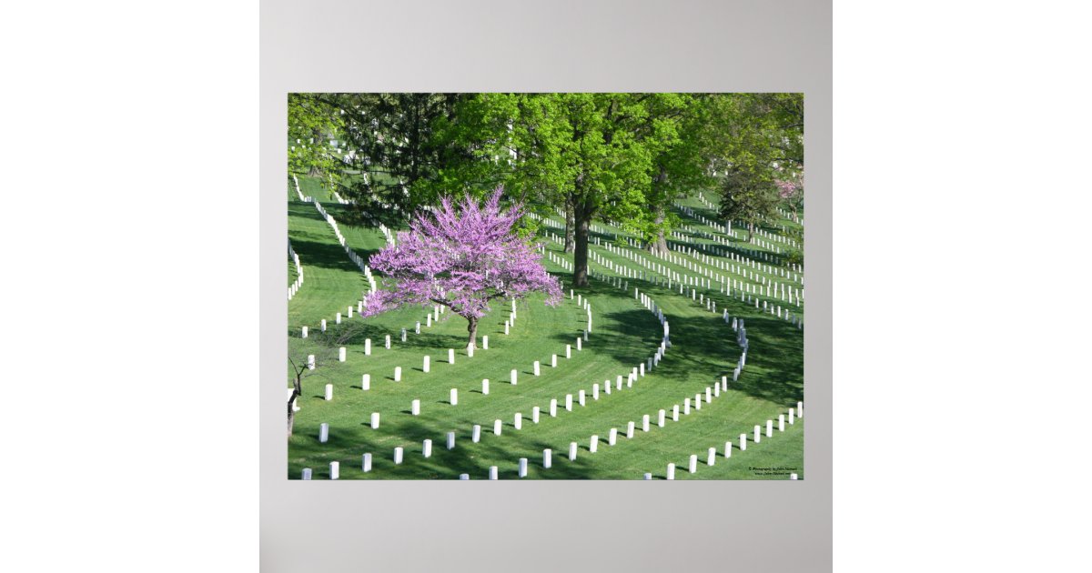 Springtime in Arlington National Cemetery Poster | Zazzle