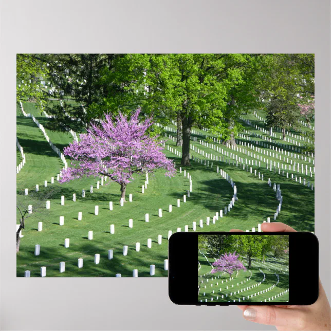 Springtime in Arlington National Cemetery Poster | Zazzle