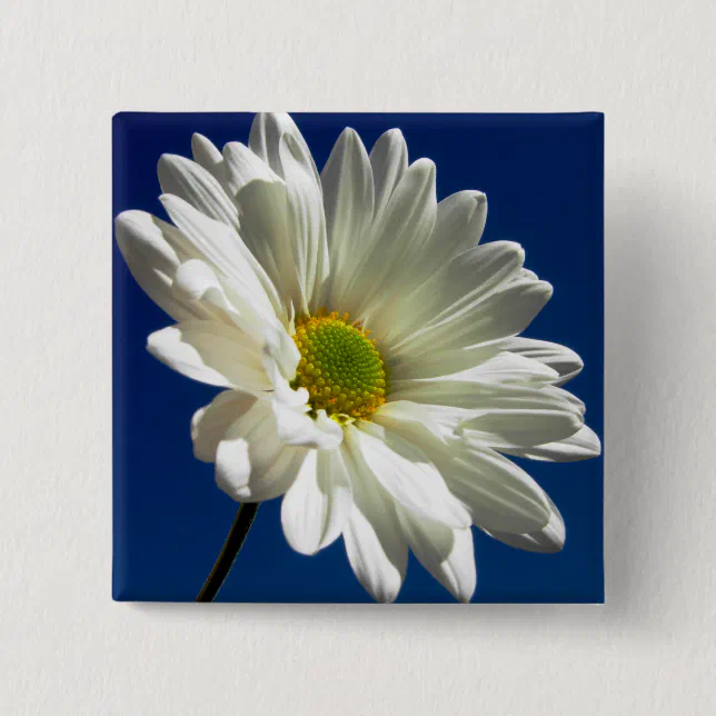 Square Daisy Button | Zazzle