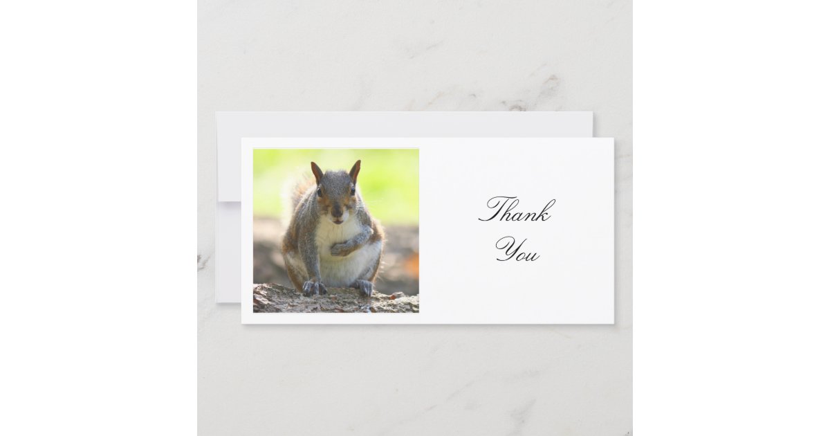 Square Photo - Squirrel Thank You Card | Zazzle