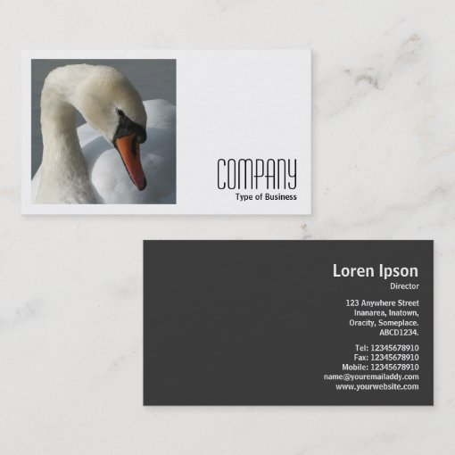 Square Photo (v2) - Swan Business Card | Zazzle