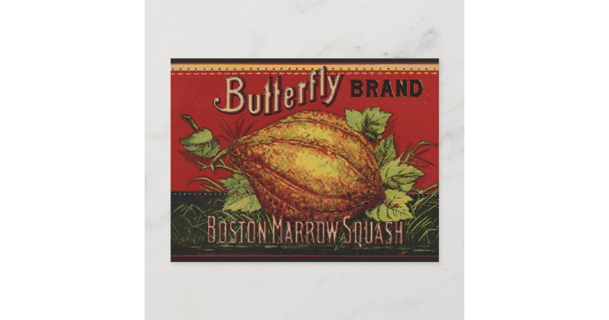 Squash Antique Vegetable Label Can Postcard | Zazzle
