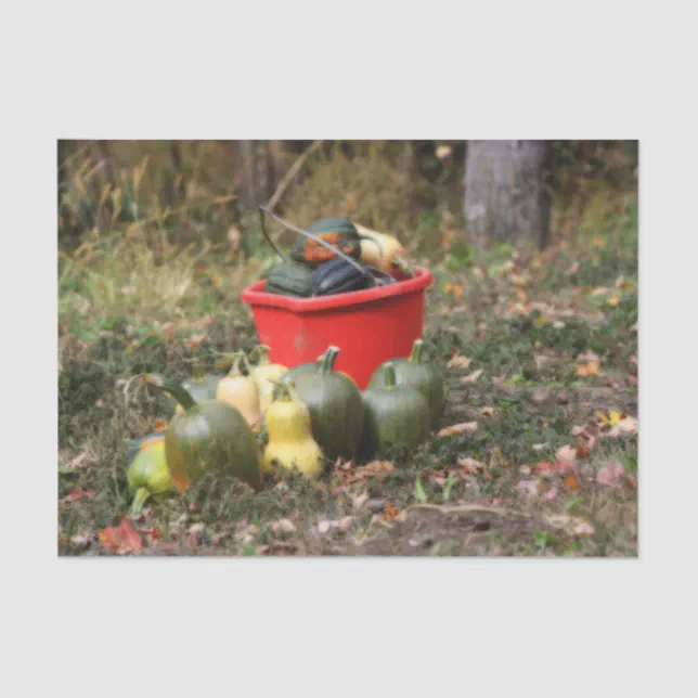 Squash Country Garden Harvest Orton Decoupage Tissue Paper | Zazzle