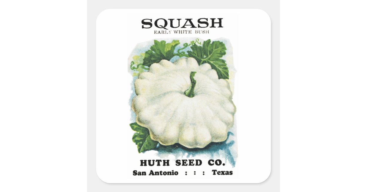 Squash Seed Packet Label | Zazzle