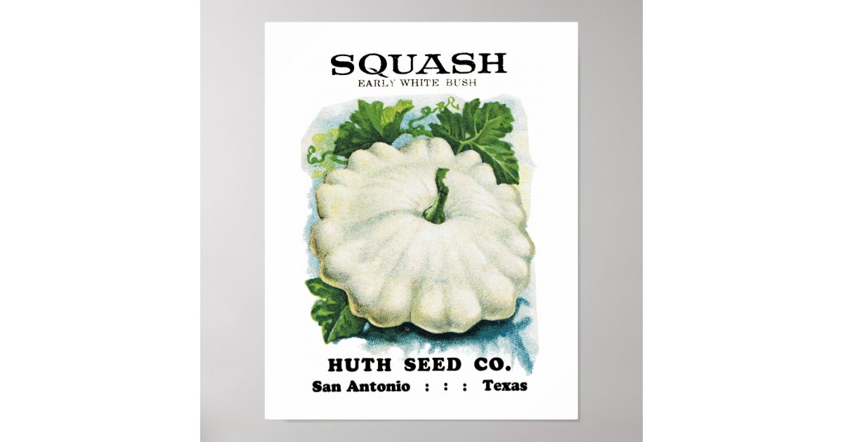 Squash Seed Packet Label Poster | Zazzle