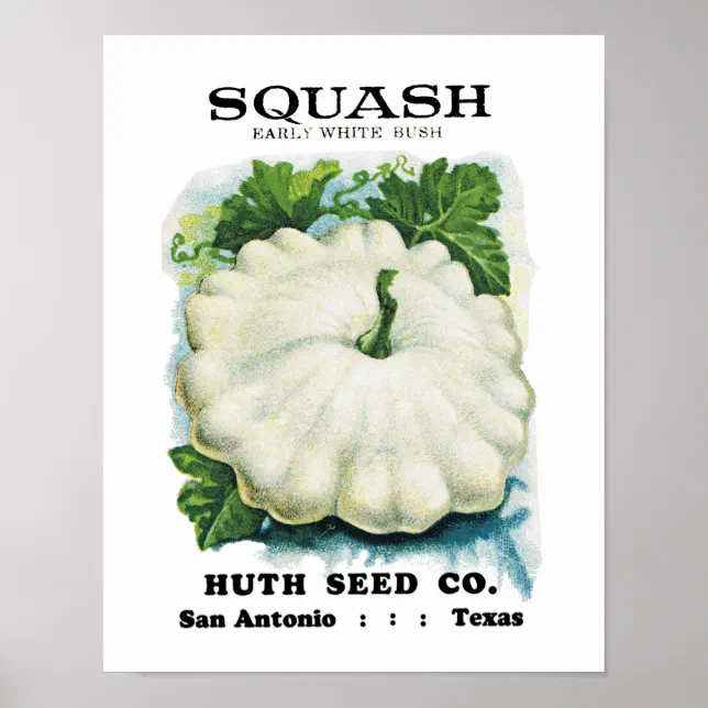 Squash Seed Packet Label Poster | Zazzle