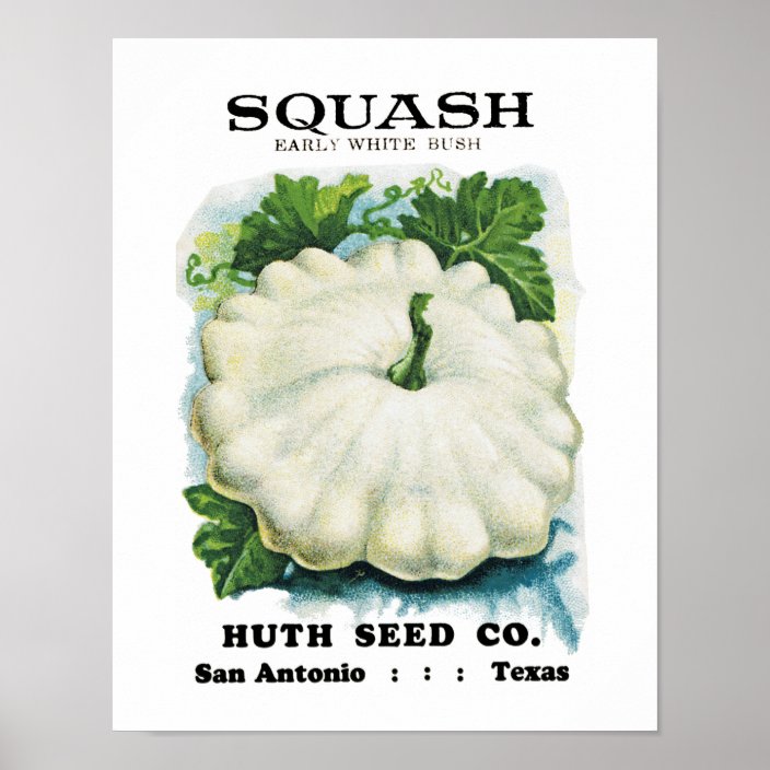 Squash Seed Packet Label Poster | Zazzle.com