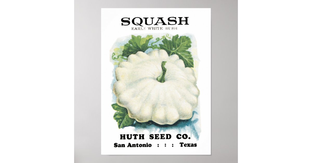 Squash Vintage Seed Packet Poster | Zazzle
