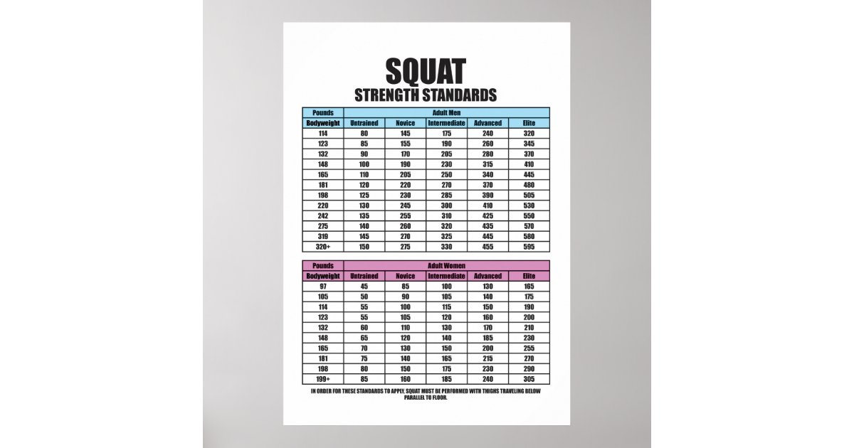 Squat Strength Standards - Gym Motivational Poster | Zazzle