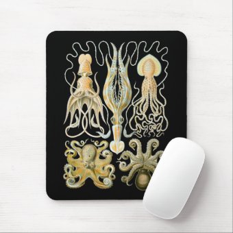 Squid & Octopus Mouse Pad | Zazzle