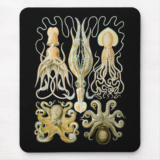 Squid & Octopus Mouse Pad | Zazzle