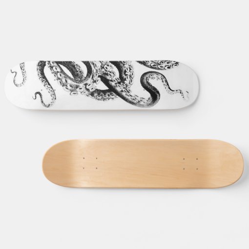 Squid Skateboard Deck | Zazzle