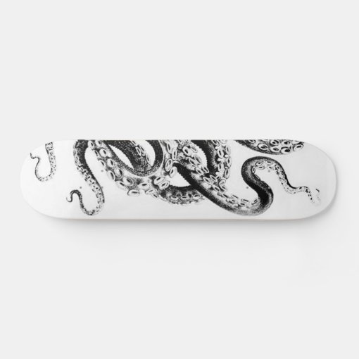 Squid Skateboard Deck | Zazzle