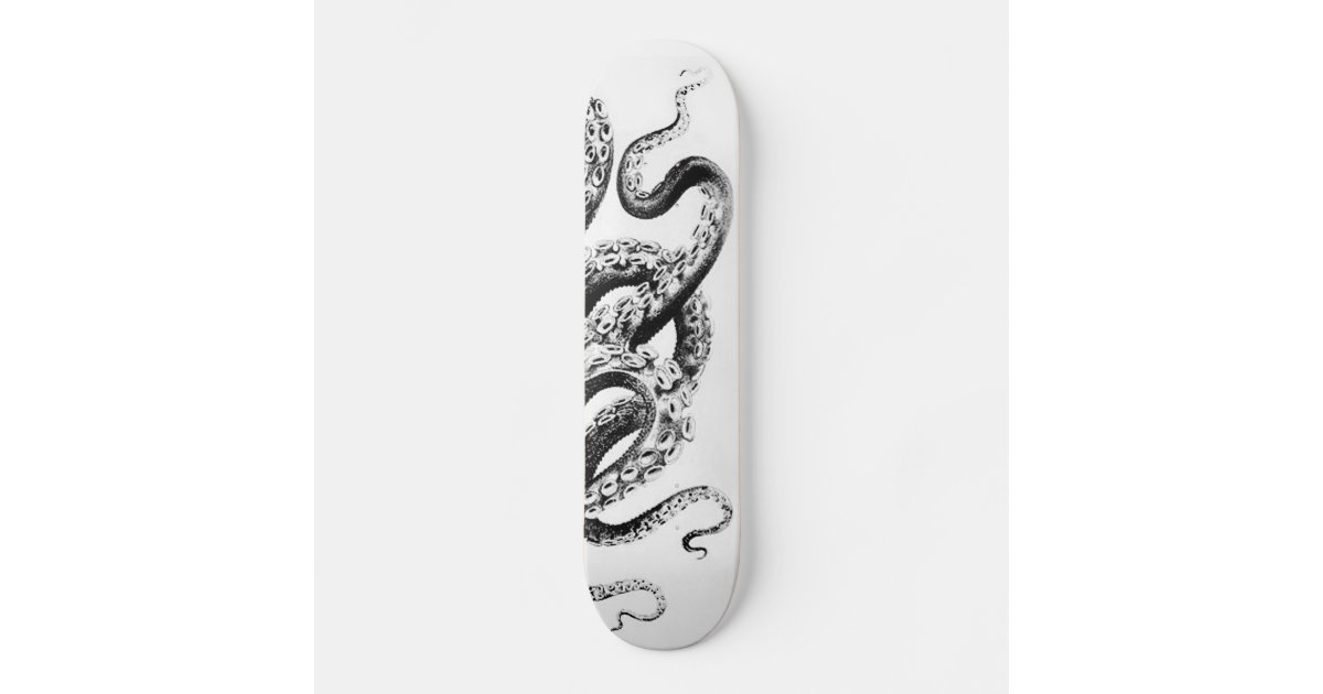 Squid Skateboard Deck | Zazzle