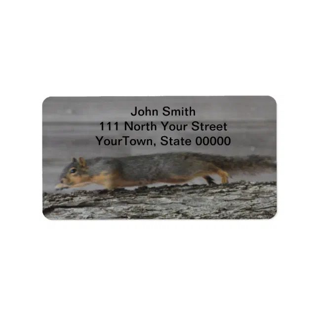 Squirrel Address Labels | Zazzle
