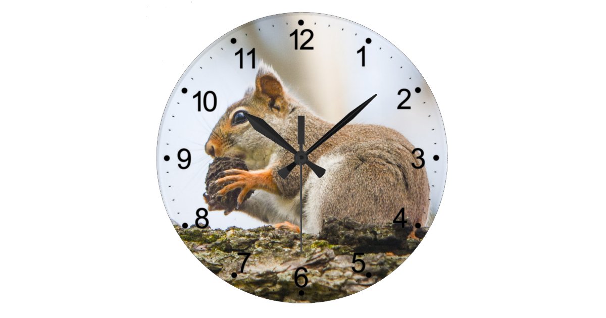 Squirrel Animals Woodland Nature Large Clock | Zazzle.com