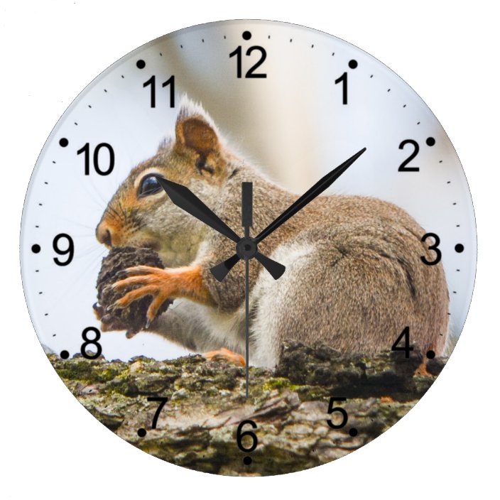 Squirrel Animals Woodland Nature Large Clock | Zazzle.com