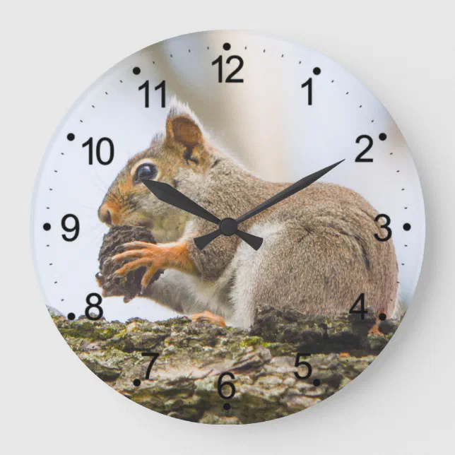Squirrel Animals Woodland Nature Large Clock | Zazzle