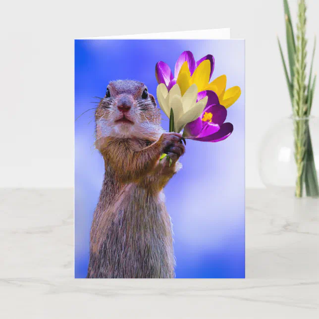 SQUIRREL BIRTHDAY CARDS | Zazzle