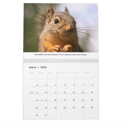 Squirrel Calendar - All New Life Lessons | Zazzle