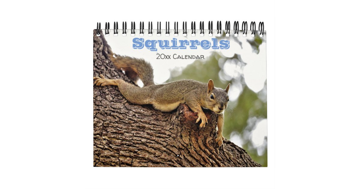 Squirrel Calendar for animal lovers or gag gift | Zazzle