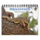 Squirrel Calendar for animal lovers or gag gift | Zazzle