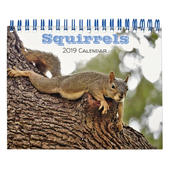 Squirrel Calendar for animal lovers or gag gift | Zazzle.com