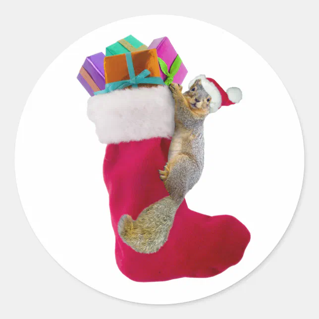 Squirrel Christmas Stocking Sticker | Zazzle