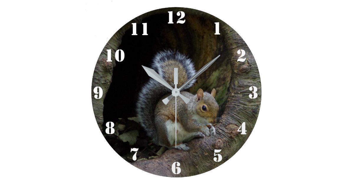 Squirrel Clock | Zazzle