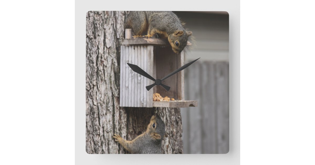 Squirrel Clock | Zazzle