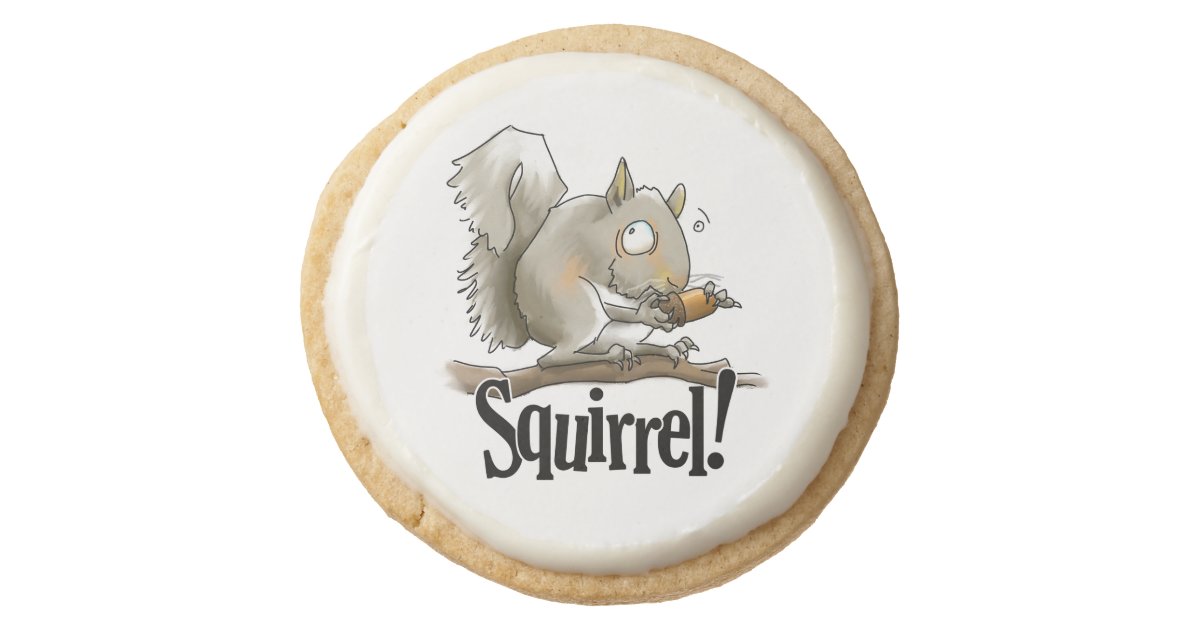 Squirrel Cookies | Zazzle