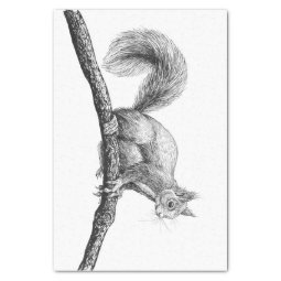 Squirrel drawing tissue paper | Zazzle