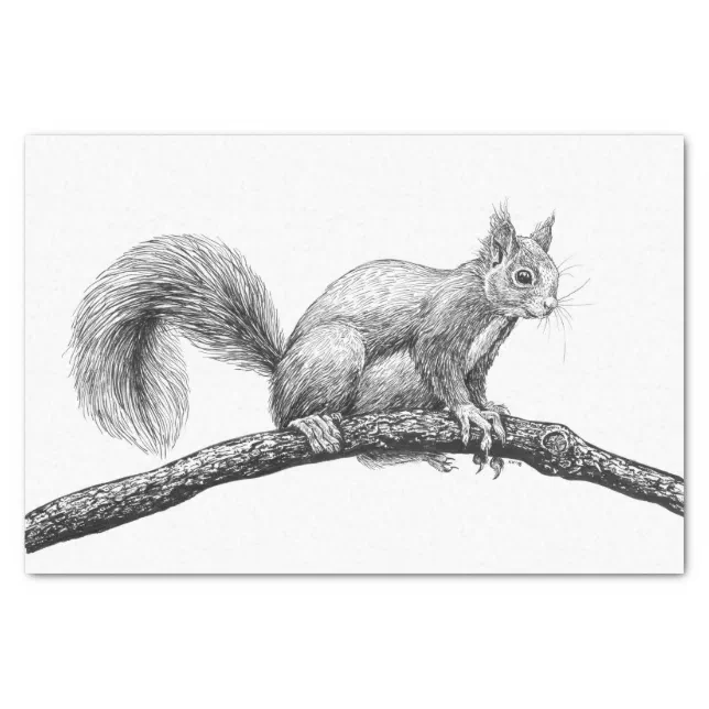 Squirrel drawing tissue paper | Zazzle