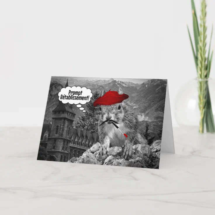 Squirrel French Artist Get Well Card | Zazzle