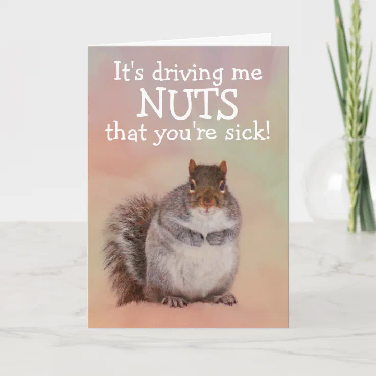 Squirrel Goes Nuts Get Well Card | Zazzle