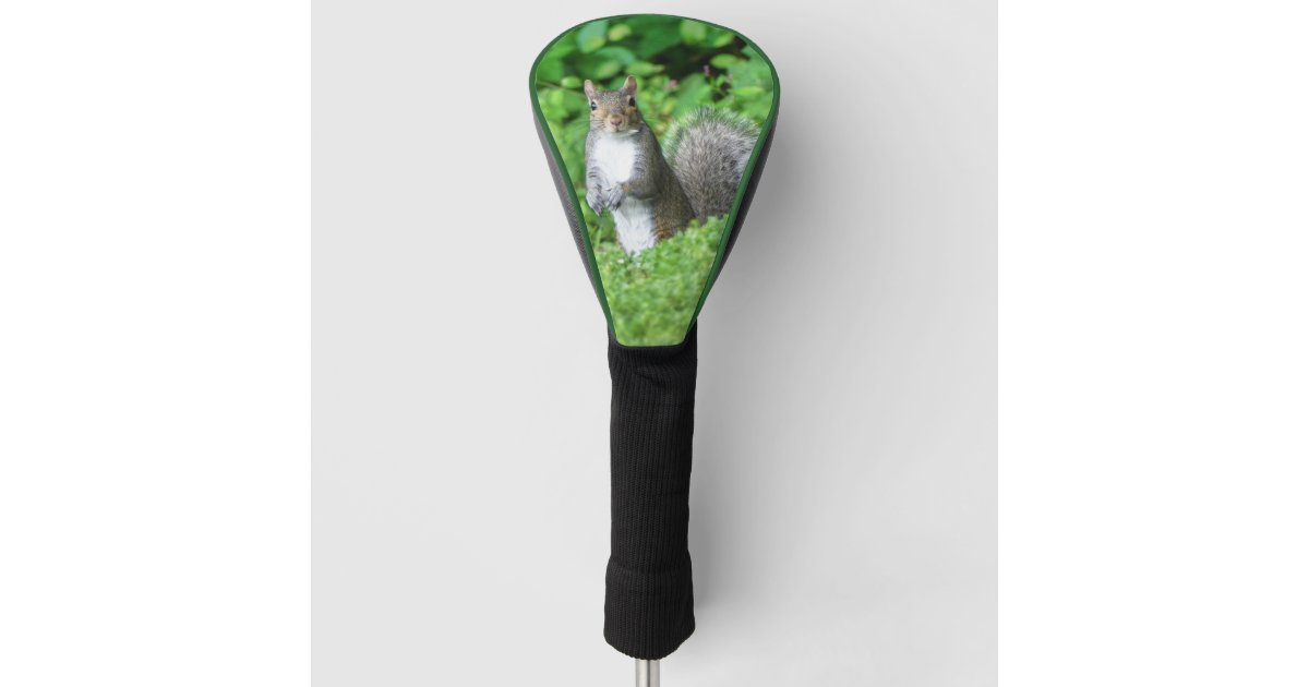 Squirrel Golf Head Cover | Zazzle