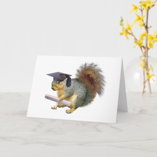 Squirrel Graduation Card | Zazzle