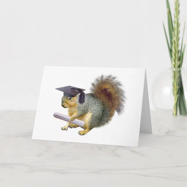 Squirrel Graduation Card | Zazzle