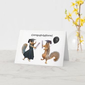 Squirrel Graduation Congratulations Card | Zazzle