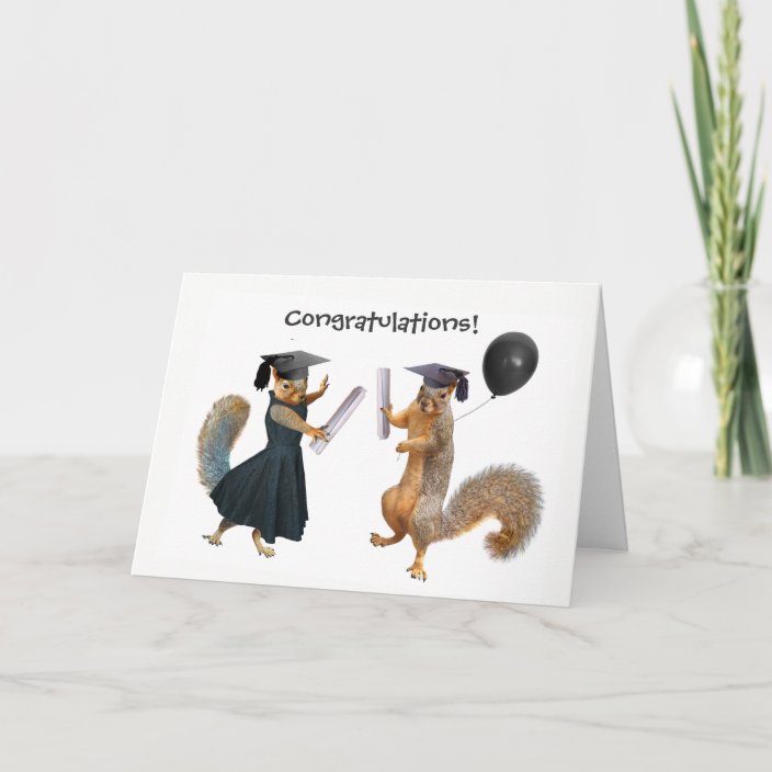 Squirrel Graduation Congratulations Card | Zazzle.com