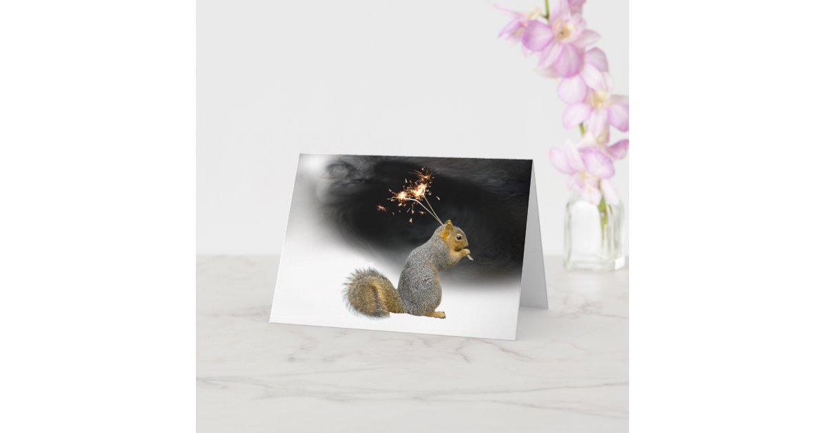 Squirrel Graduation Congratulations Card | Zazzle