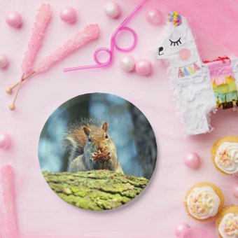 Squirrel (Gray) paper plate | Zazzle