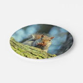 Squirrel (Gray) paper plate | Zazzle